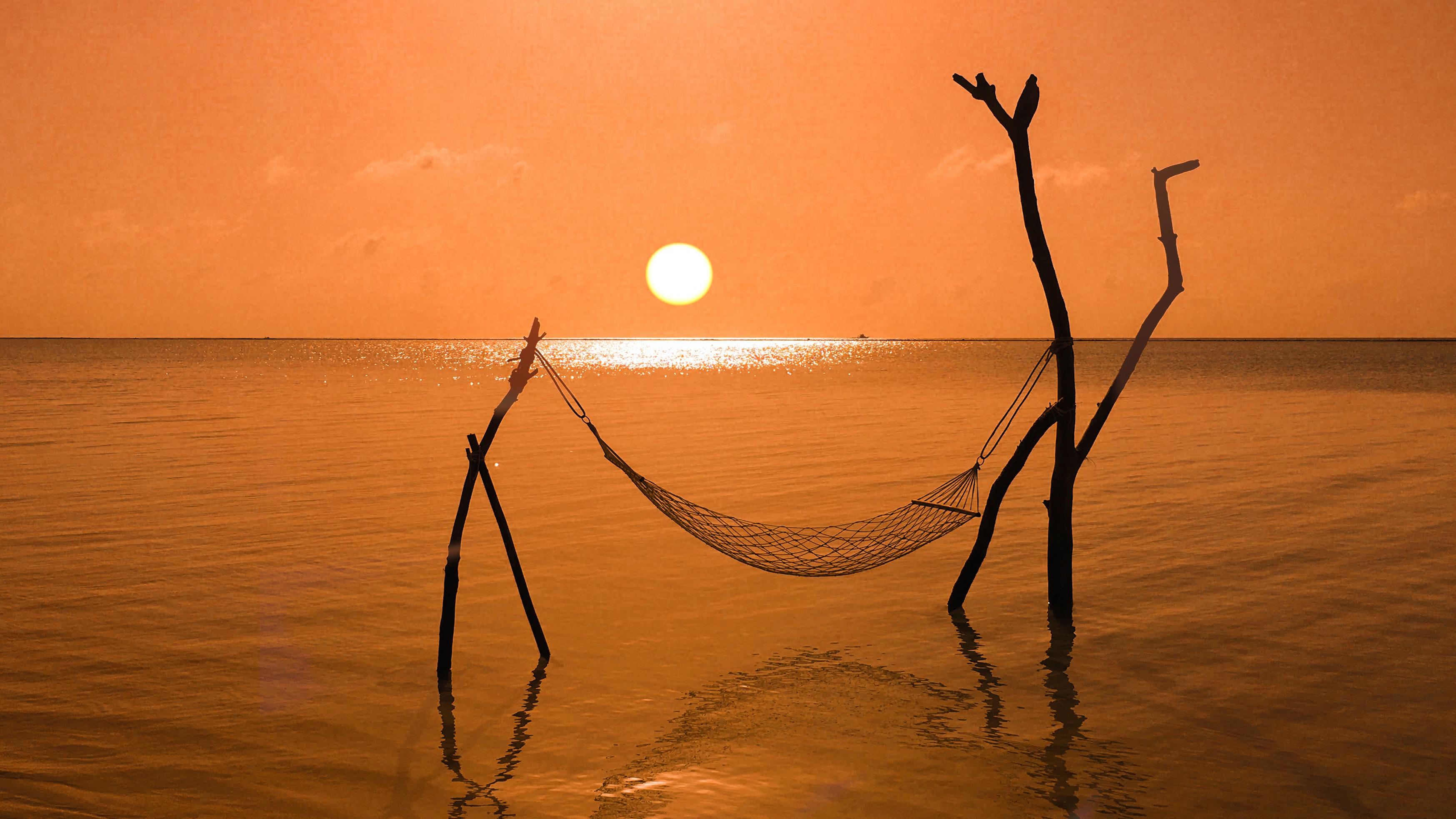 Guide to Jet Lag & Holiday Insomnia | MTC